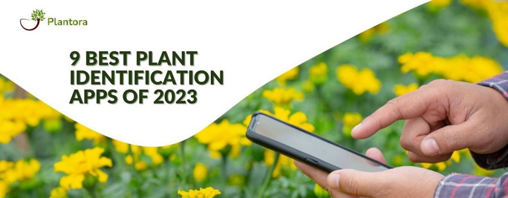 9 Best Plant Identification Apps of 2023 - Plantora