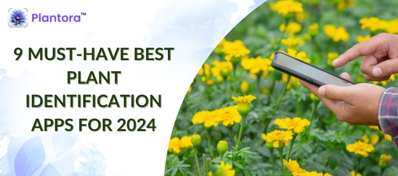 9 Must-Have Best Plant Identification Apps for 2024