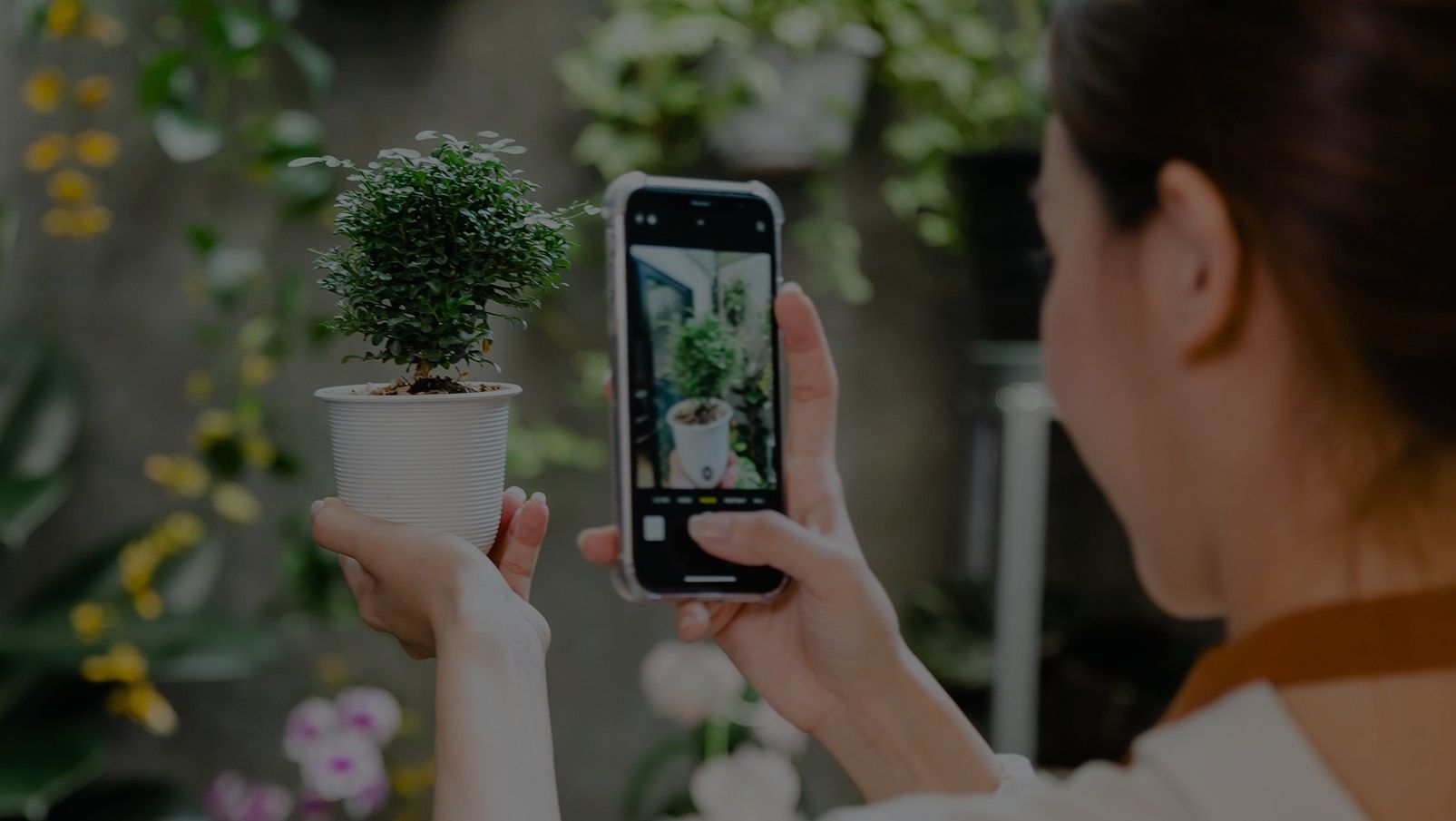 9 Best Plant Identification Apps Of 2023 Plantora 9 Best Plant Identification Apps Of 2023 Plantora
