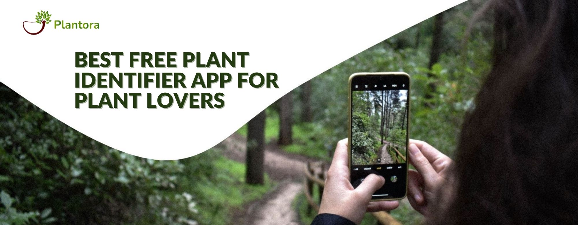 Best Free Plant Identifier App For Plant Lovers Plantora Best Free Plant Identifier App For Plant Lovers Plantora