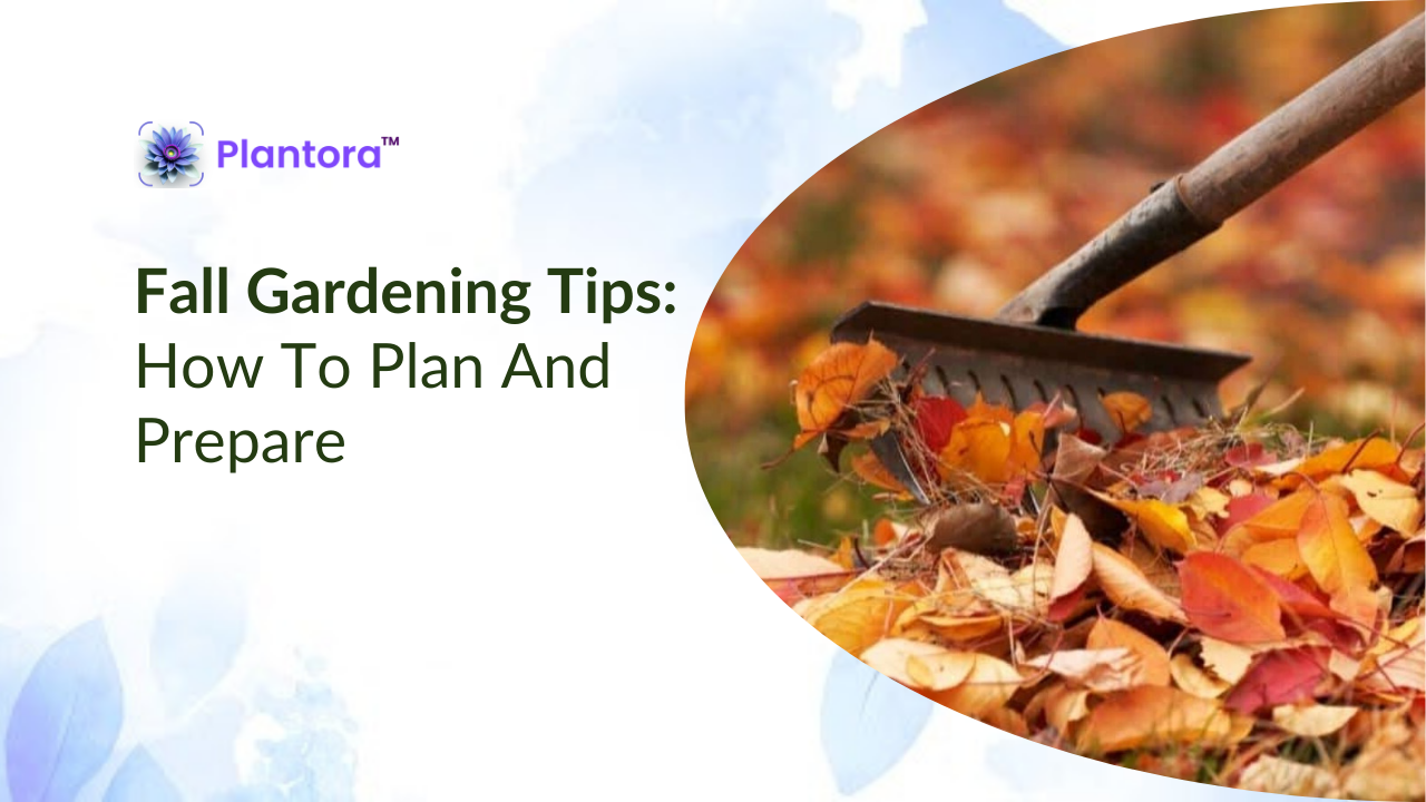 Fall Gardening Tips: How To Plan And Prepare - Plantora