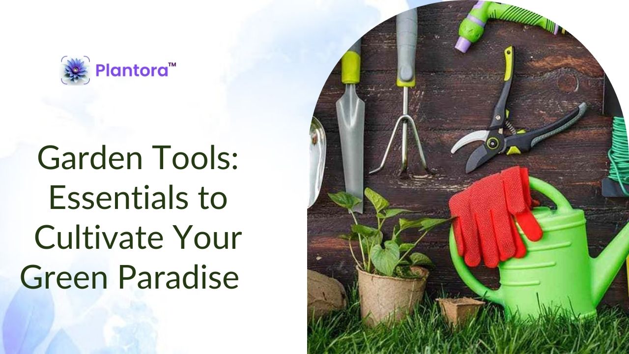 Garden Tools: Essentials to Cultivate Your Green Paradise - Plantora
